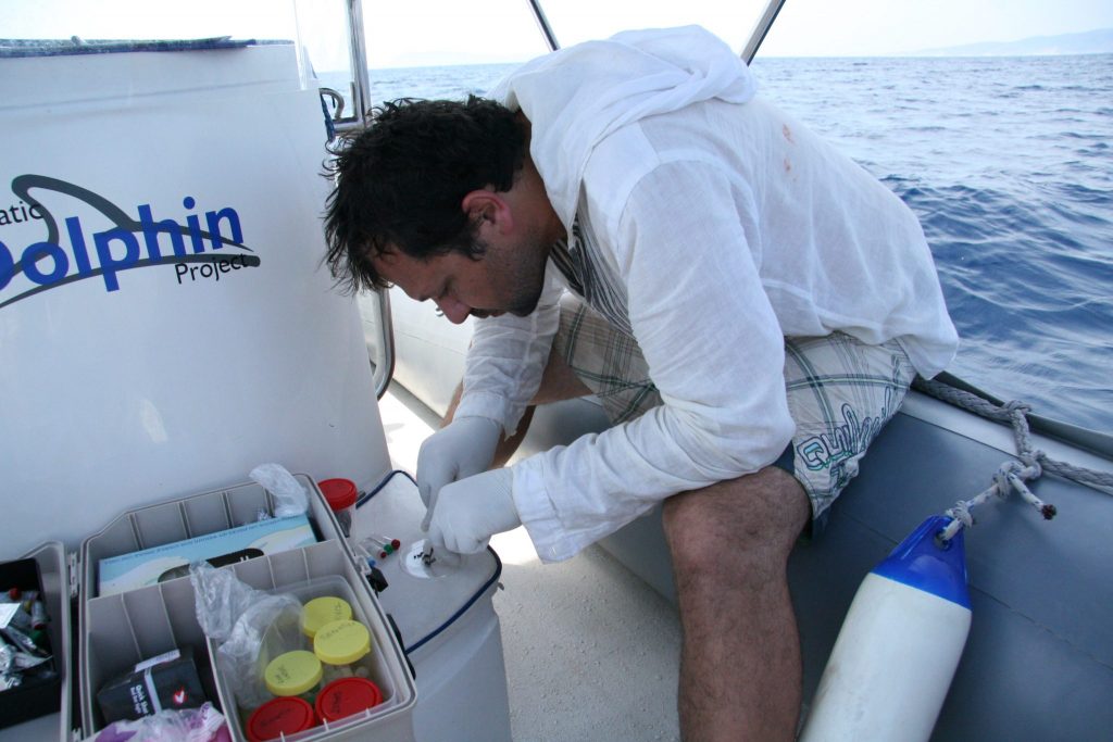 Research Methods | Blue World Institute