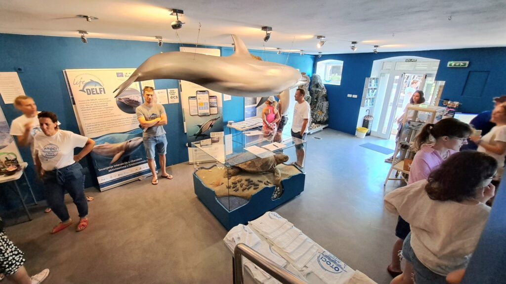 Blue World Institute’s Open Day | Blue World Institute